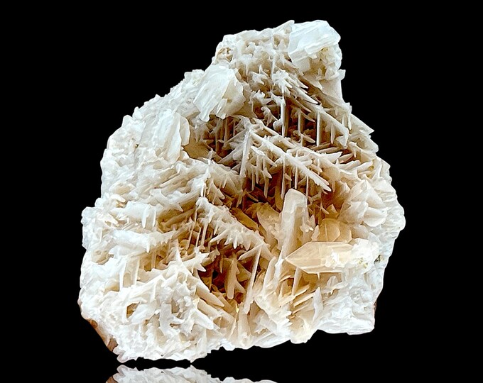 Rare Snowflake Cerussite Crystal Cluster – Raw Mineral Cerussite ...