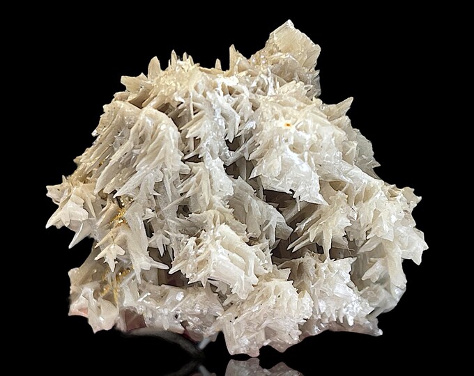 Rare Snowflake Cerussite Crystal Cluster – Raw Mineral Cerussite ...