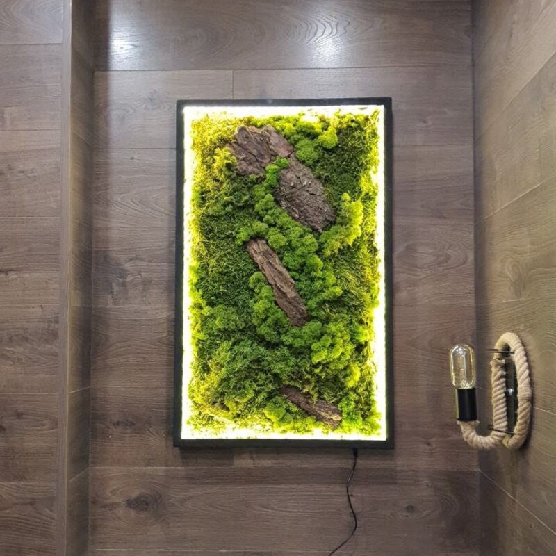 Moss Wall Decor - Etsy
