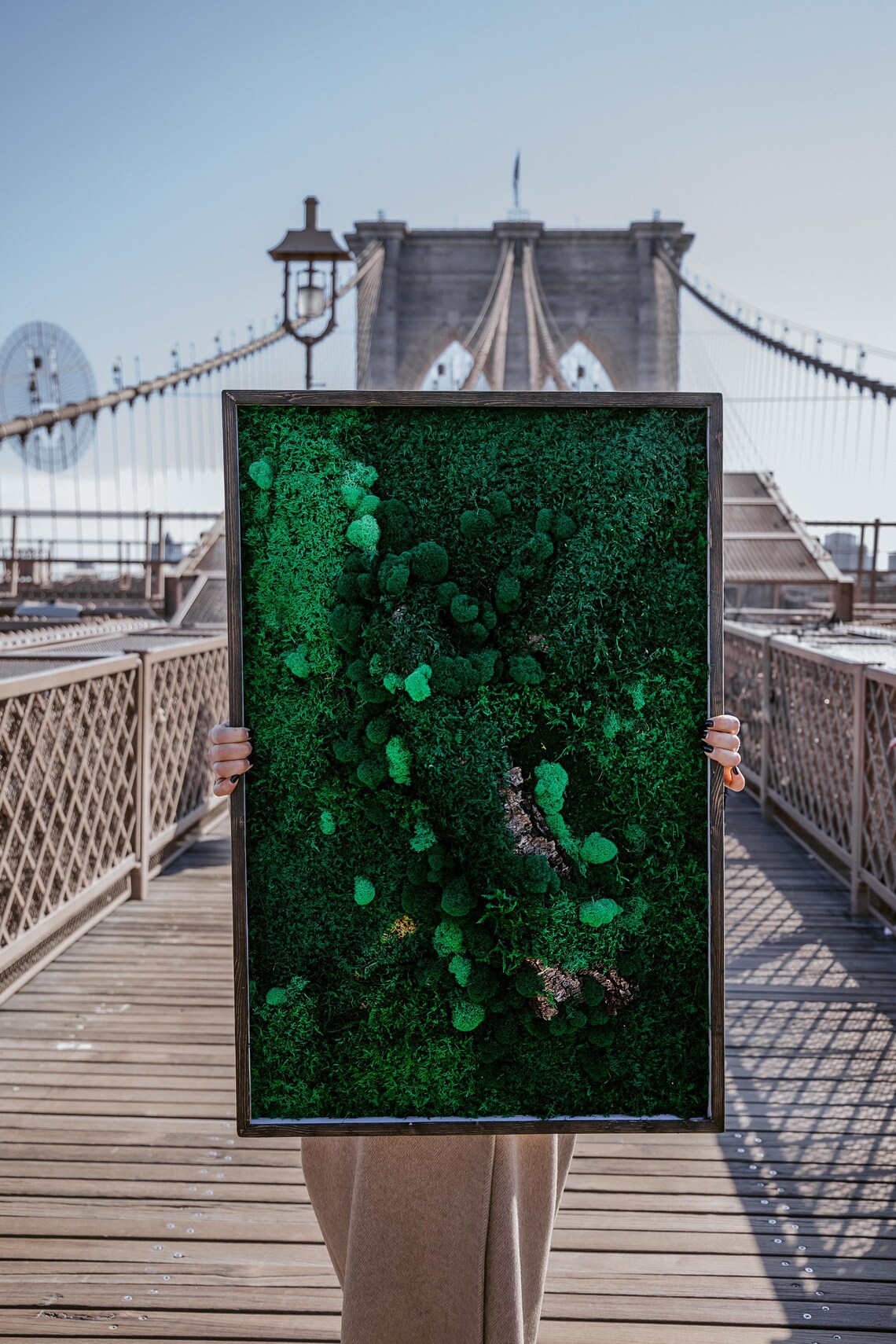Illuminated Stabilized Moss Wall Art – 50×80 Cm Panel With 3 Moss Types ...