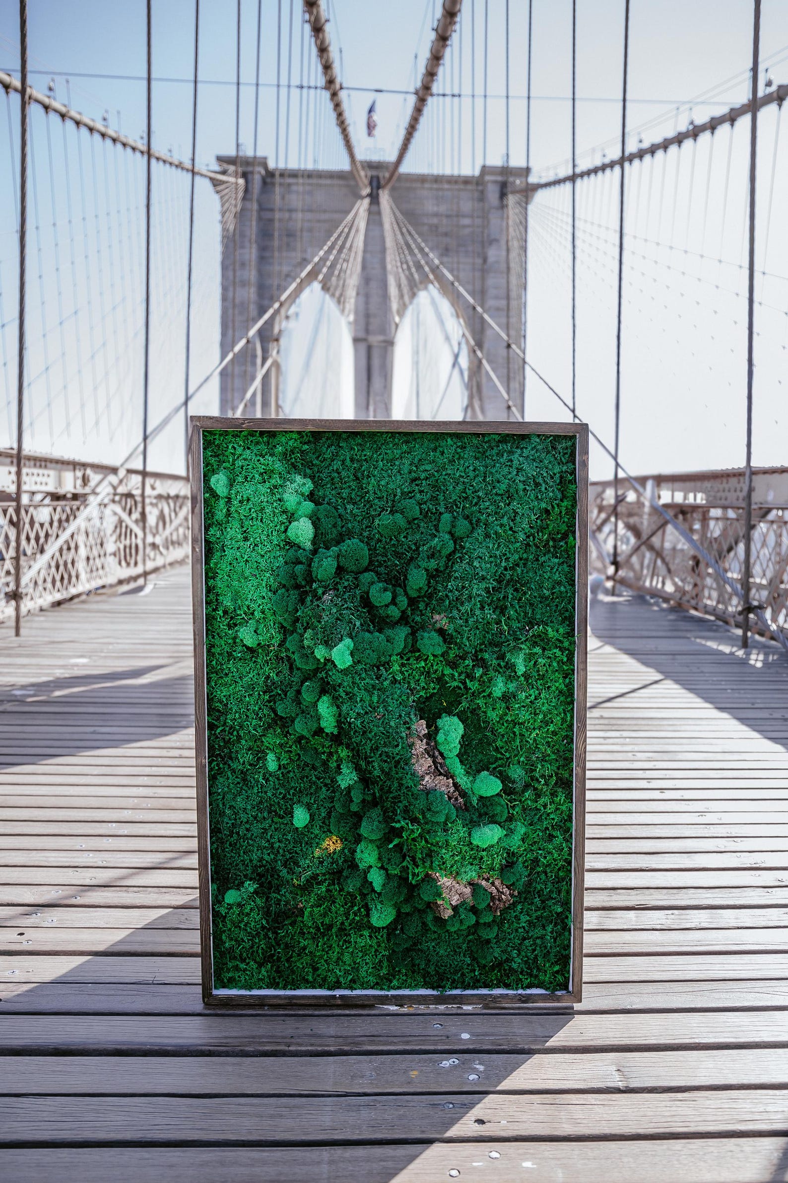 Illuminated Moss Wall Art 20x32” – Handmade LED Nature Decor, Unique ...