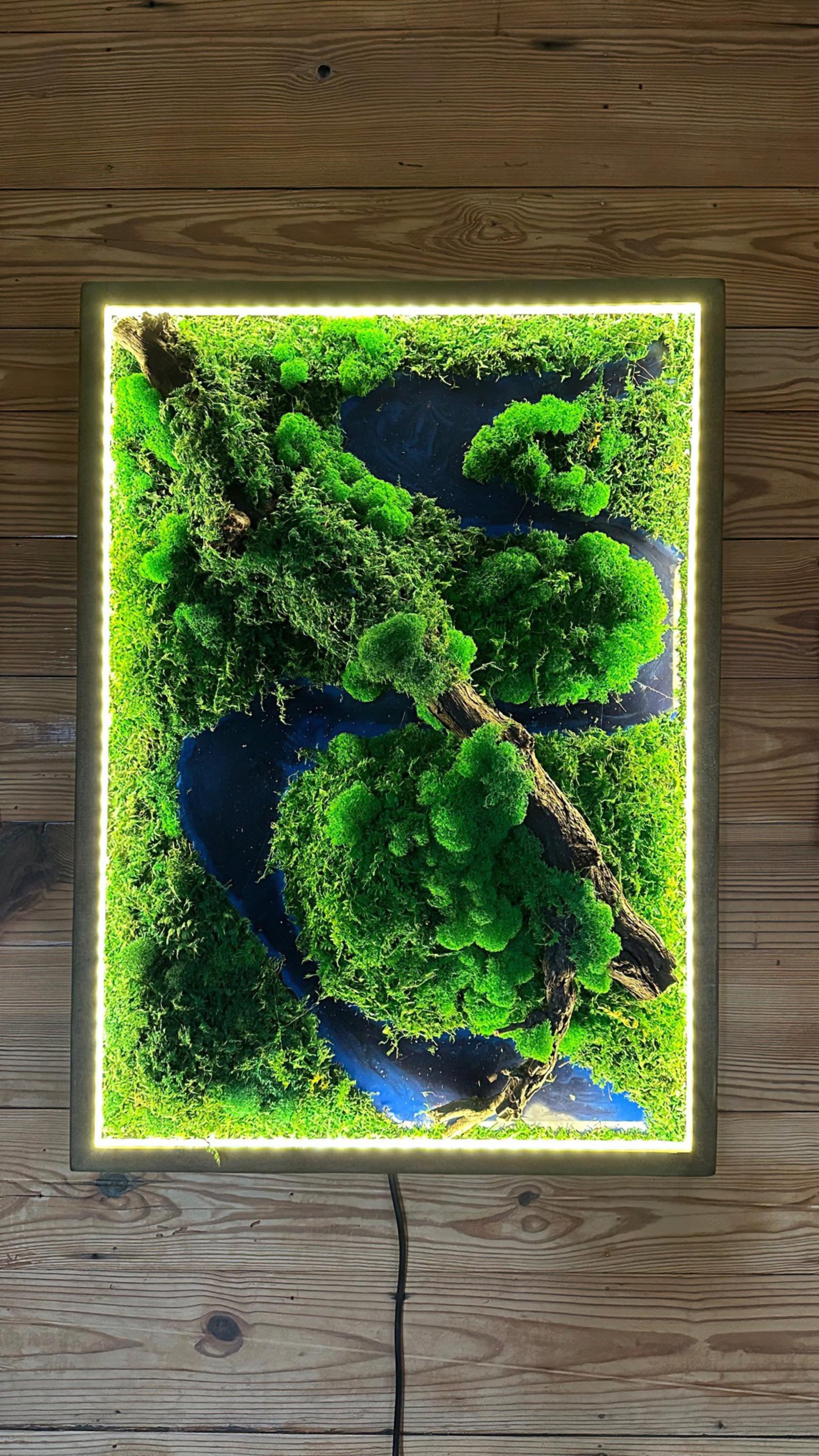 Illuminated Moss Wall Art 20”×28” – Handmade LED Forest Panel With ...