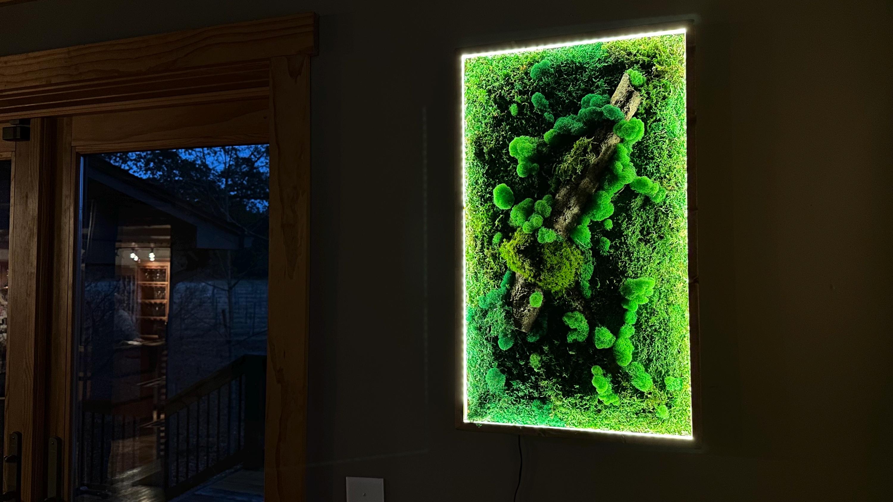 Illuminated Preserved Moss Wall Art –40×70 Cm Panel With 3 Moss Types ...