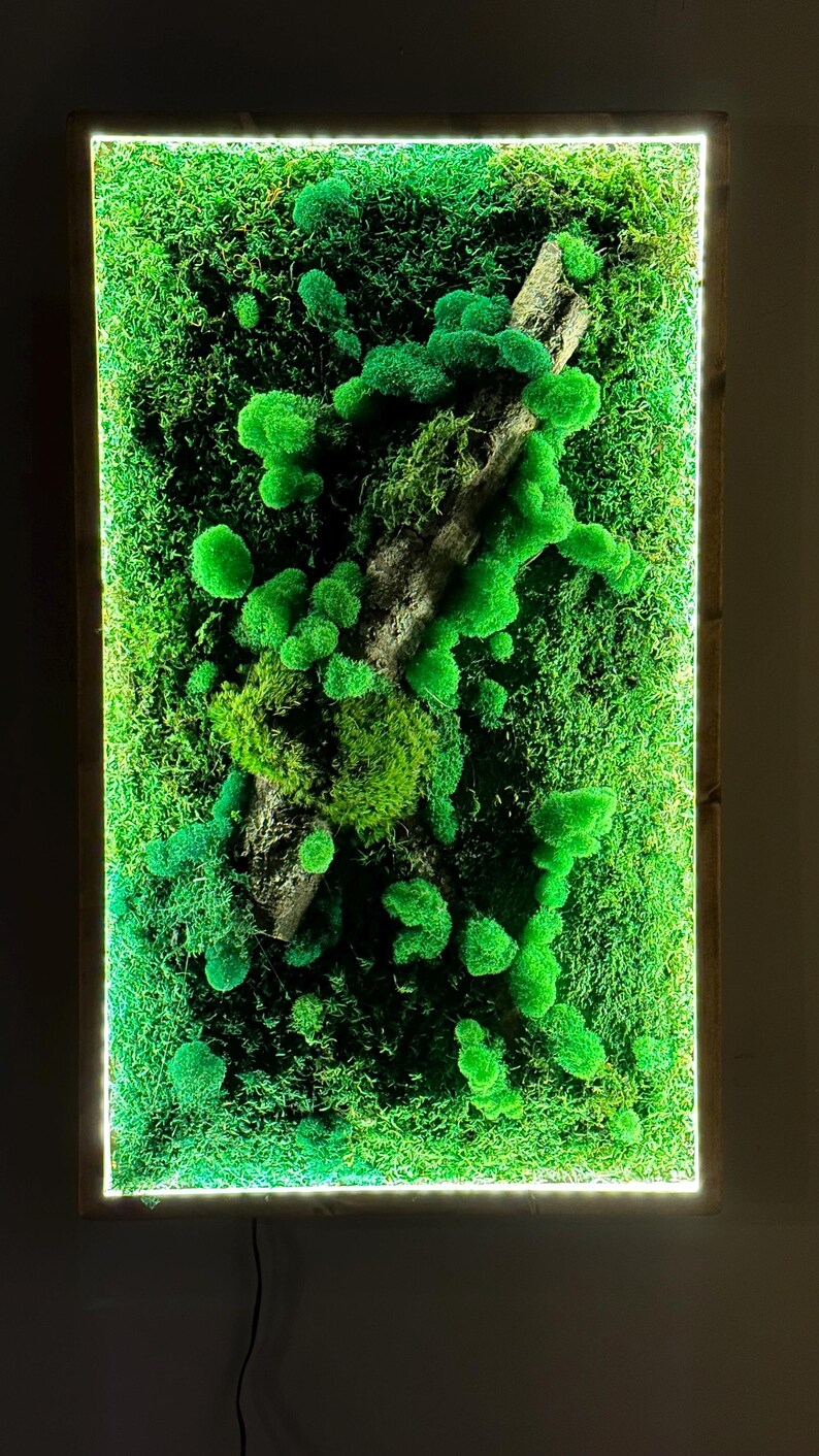 Illuminated Preserved Moss Wall Art –40×70 Cm Panel With 3 Moss Types ...