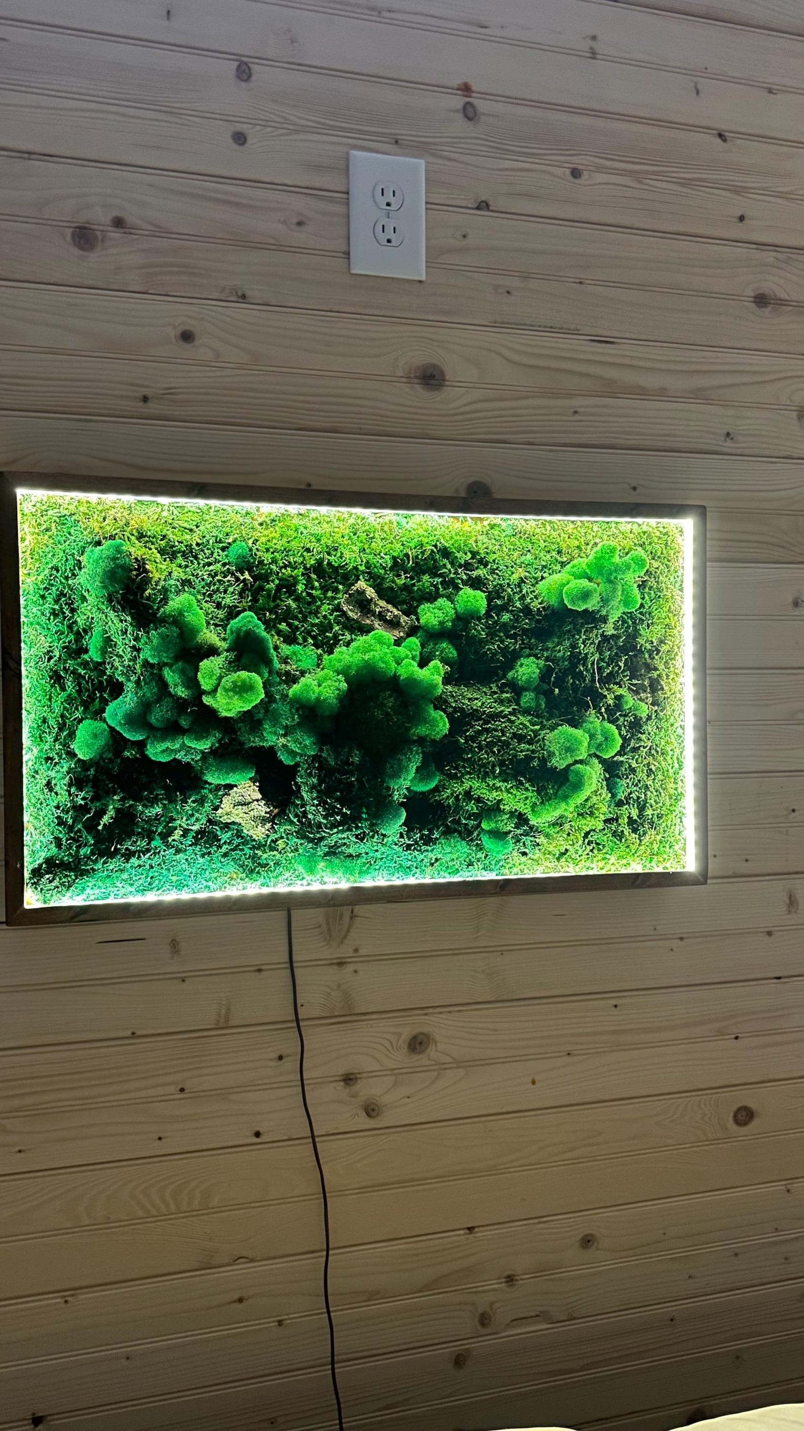 Illuminated Preserved Moss Wall Art –40×70 Cm Panel With 3 Moss Types ...