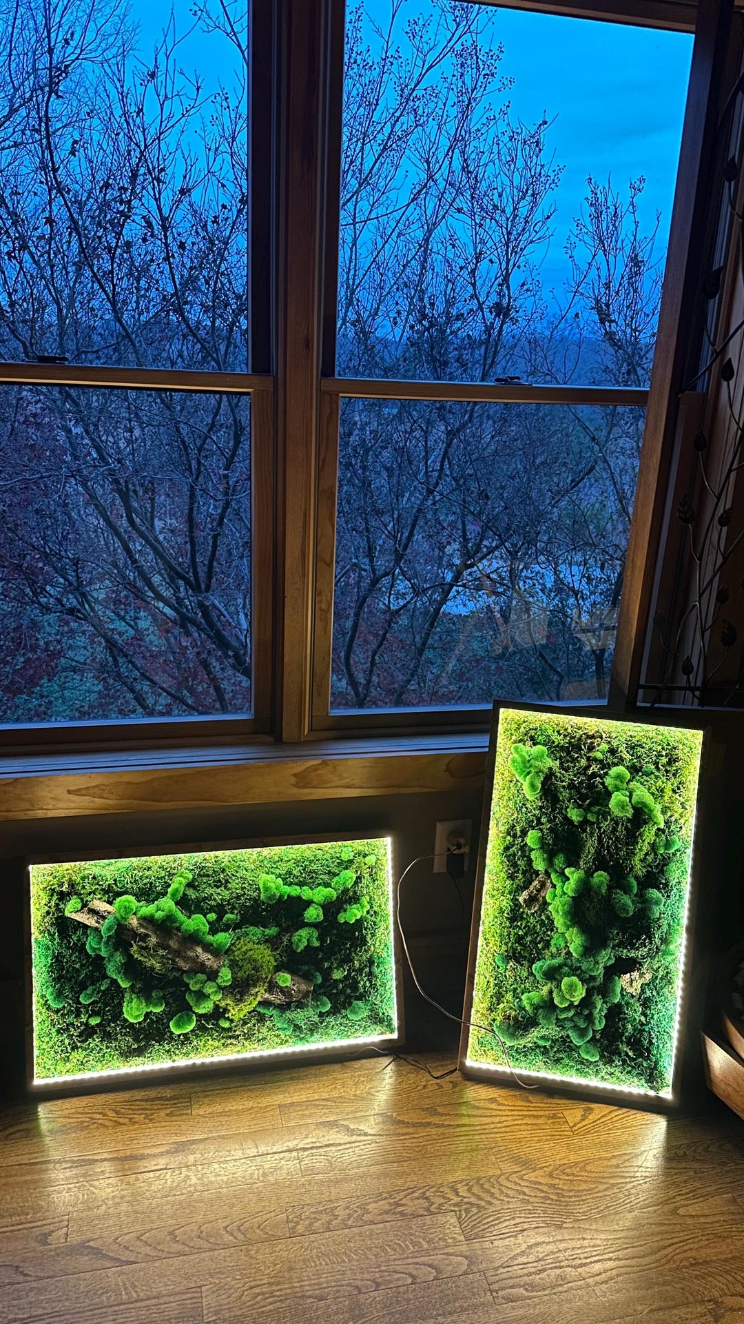 Illuminated Preserved Moss Wall Art –40×70 Cm Panel With 3 Moss Types ...
