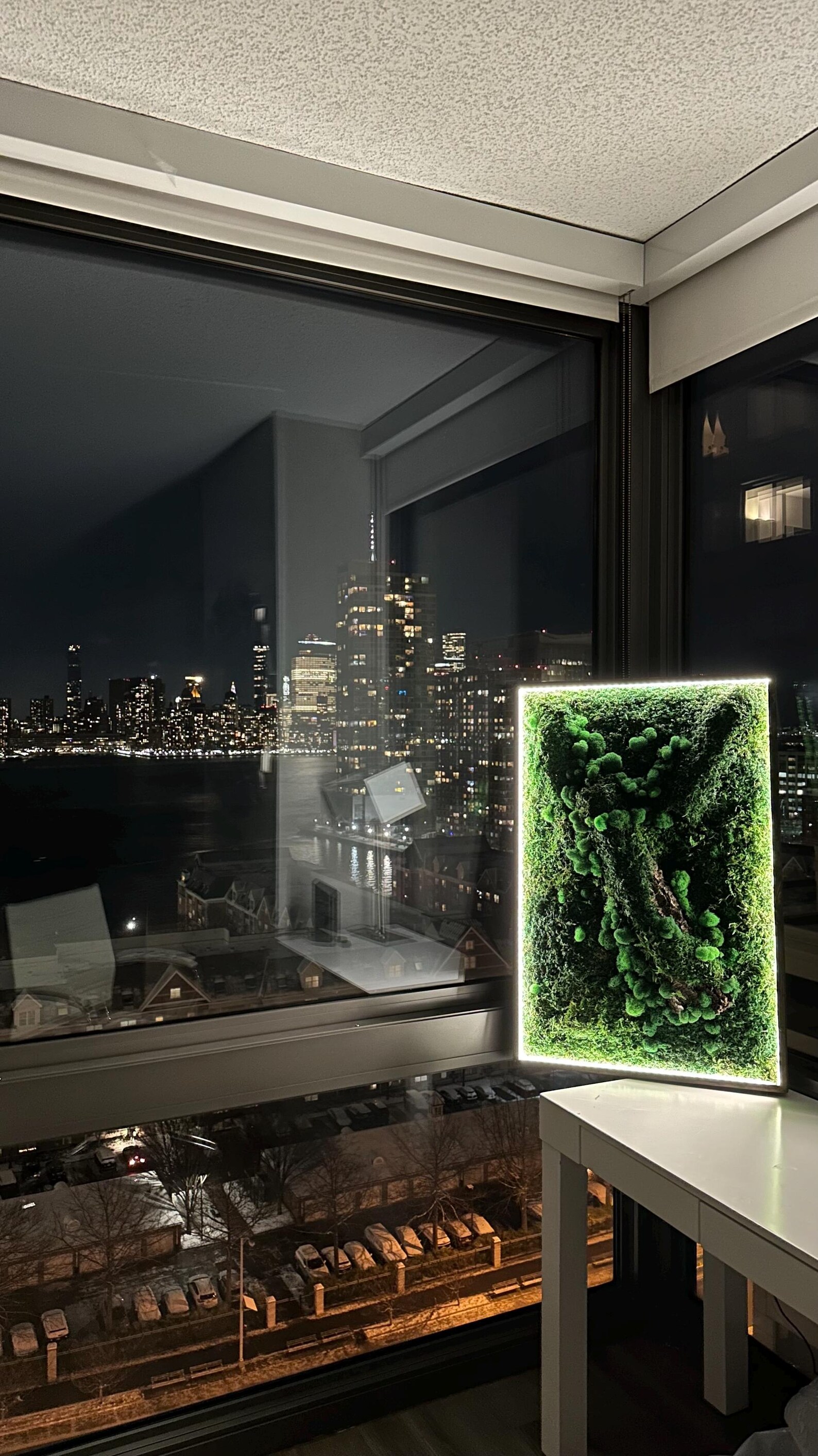 Illuminated Moss Wall Art 20x32” – Handmade LED Nature Decor, Unique ...
