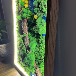 Illuminated Moss Wall Art 20”×28” – Handmade LED Forest Panel With ...