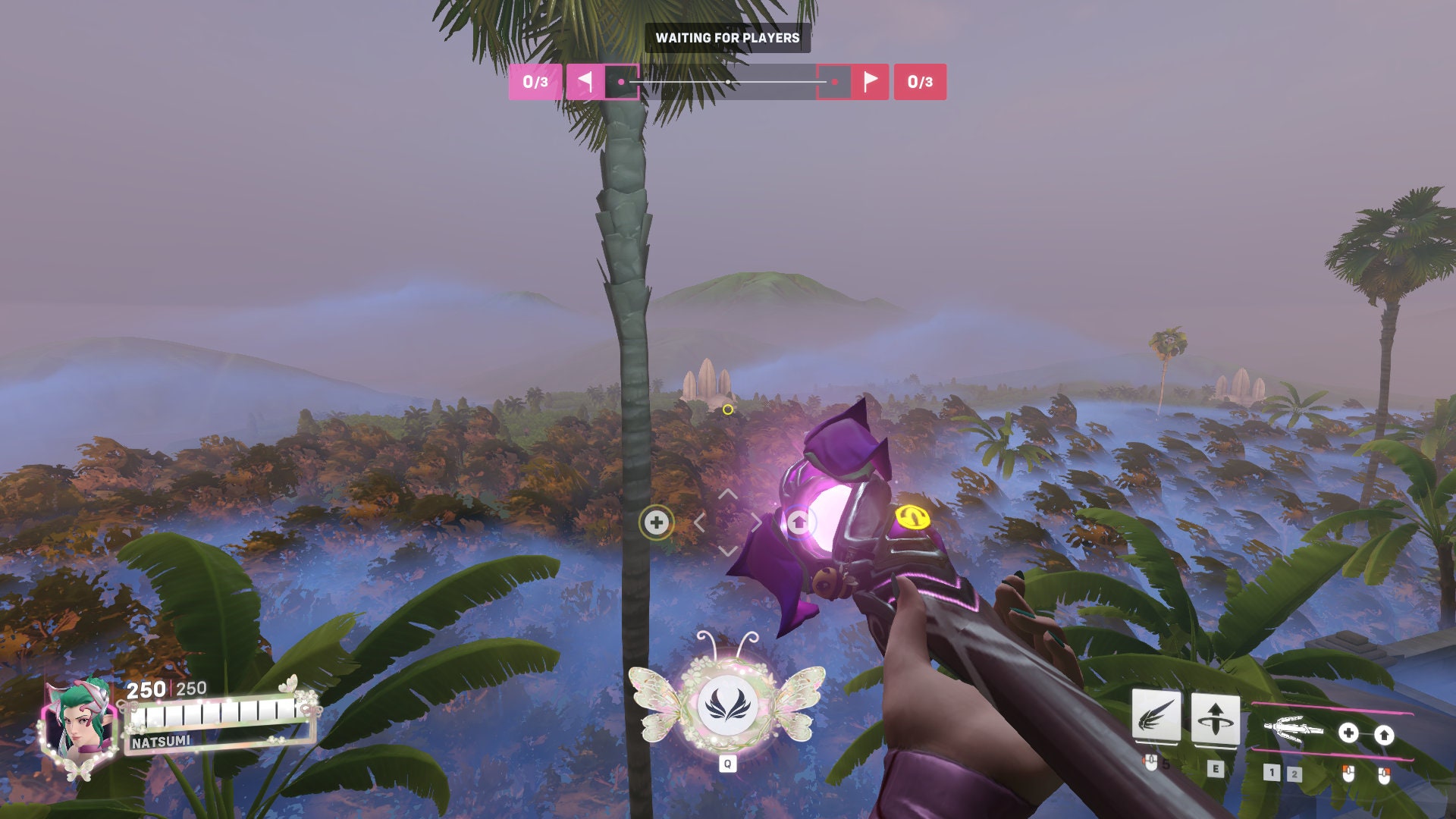 Butterfly Garden Overwatch Stream Overlay: Customizable HUD (3-pack ...