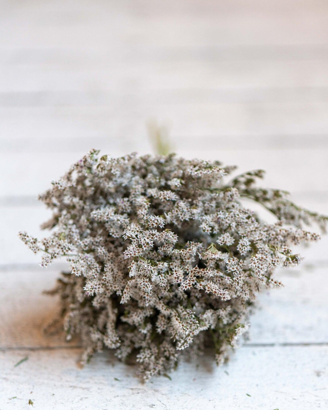 Dried German Statice Bunch / Weight 2 Ounce - Etsy