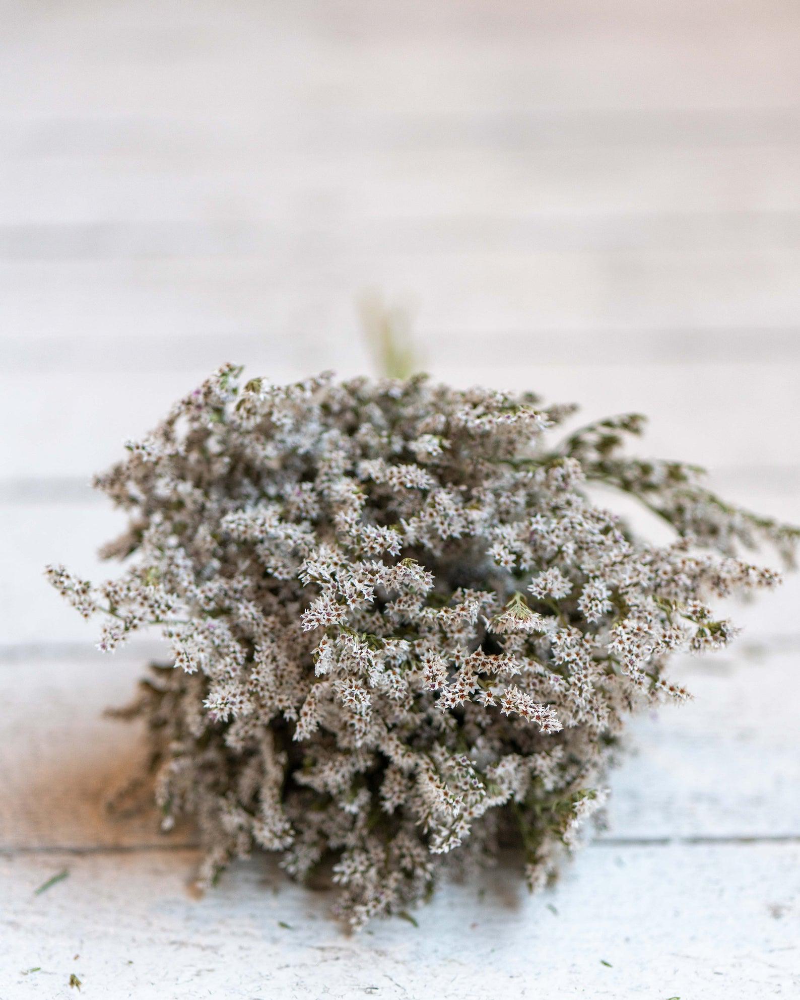 Dried German Statice Bunch / Weight 2 Ounce - Etsy