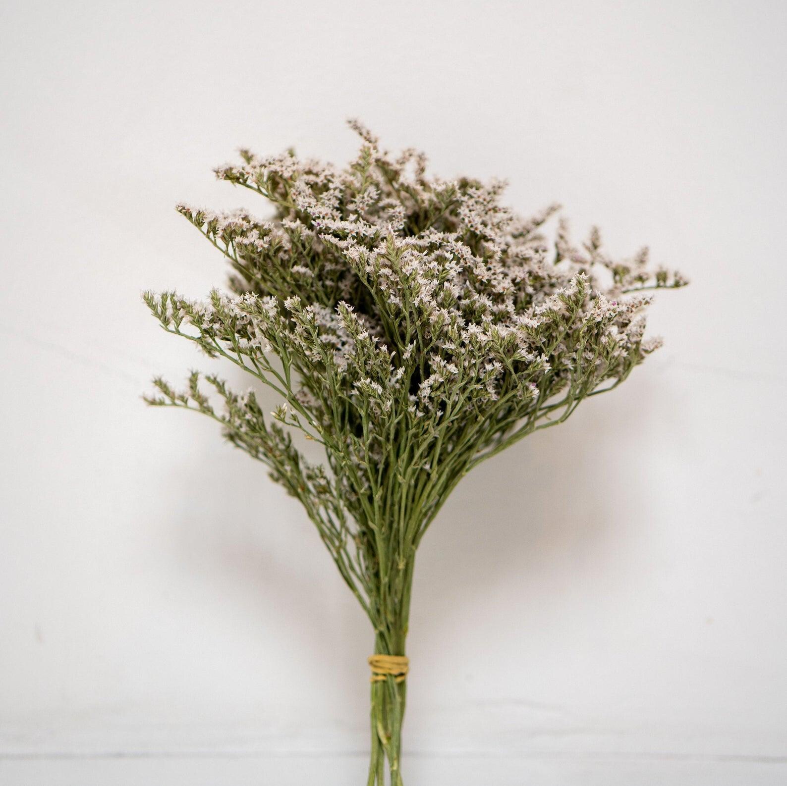 Dried German Statice Bunch / Weight 2 Ounce - Etsy