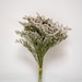 Dried German Statice Bunch / Weight 2 Ounce - Etsy