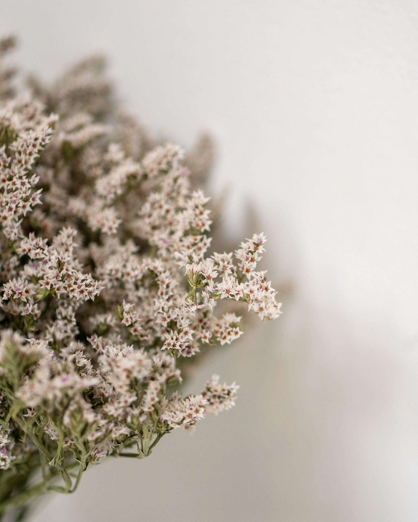 Dried German Statice Bunch / Weight 2 Ounce - Etsy