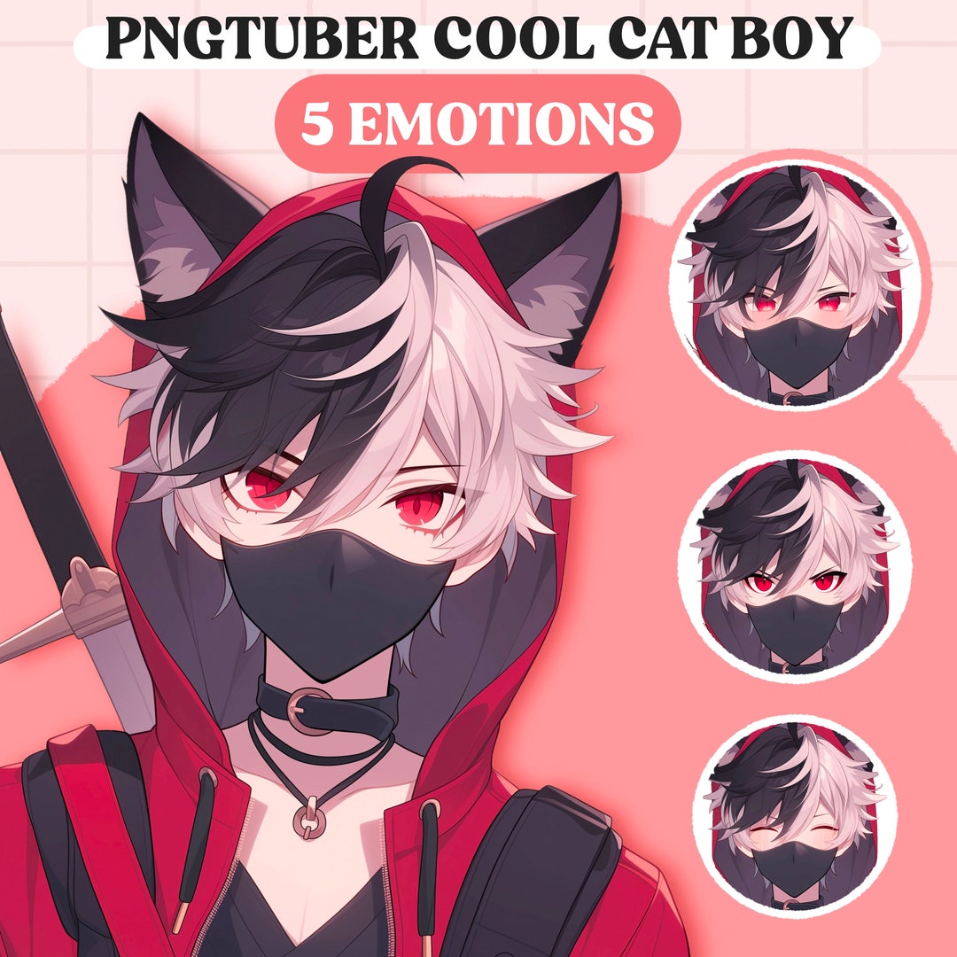 Pngtuber Model | Anime Cat Boy Pngtuber Premade Model | Chibi PNG Tuber ...