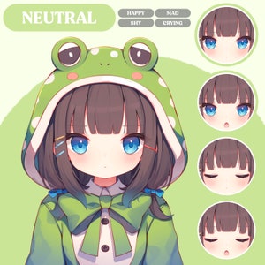 Pngtuber Model | Chibi Frog Girl Pngtuber Premade Model | Chibi PNG ...
