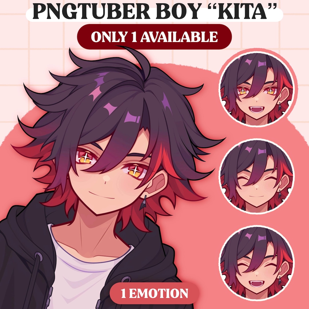 Cute Pngtuber Model Anime Boy Pngtuber Premade Model Veadotube Model ...