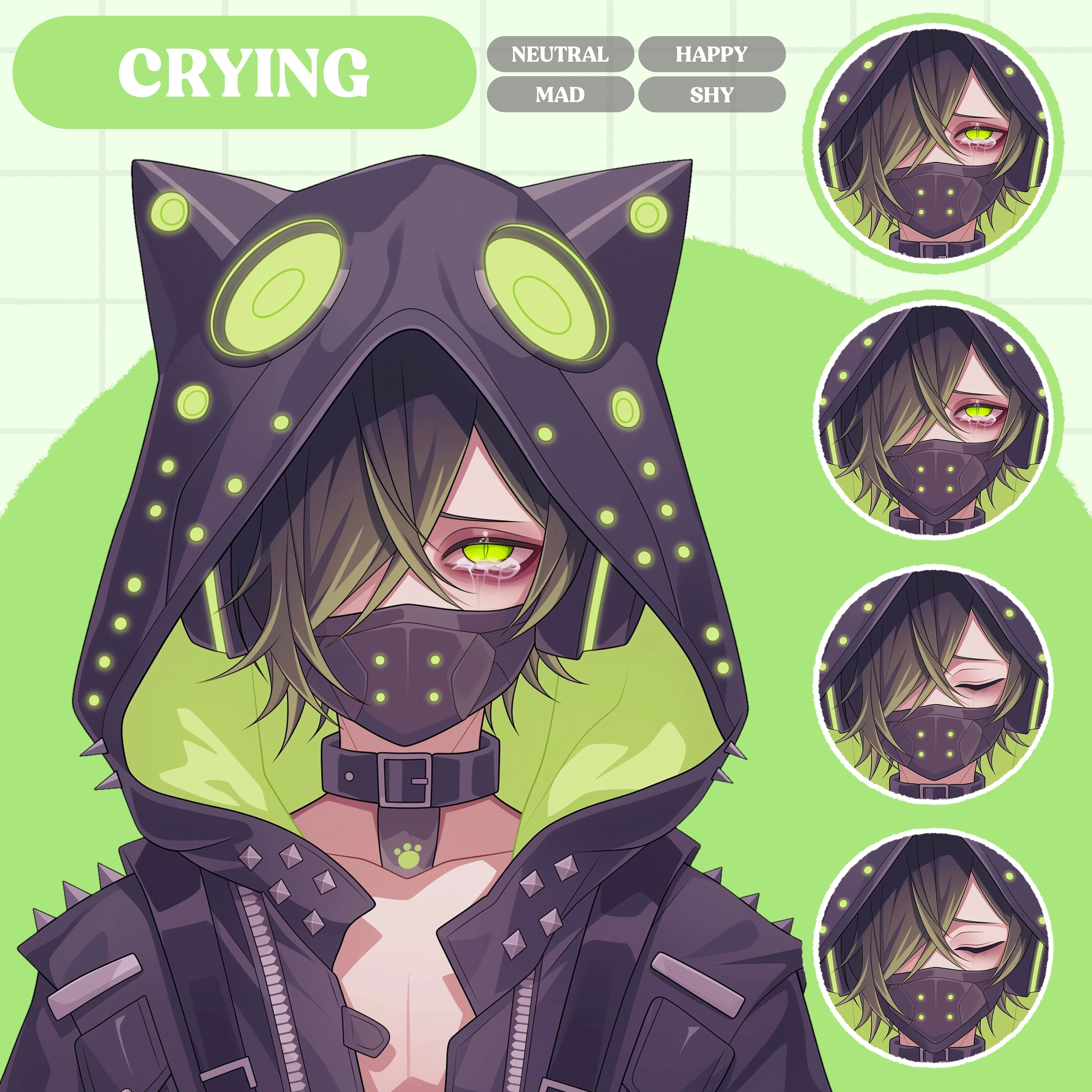 Pngtuber Model | Gamer Cat Boy Pngtuber Premade Model | Chibi PNG Tuber ...