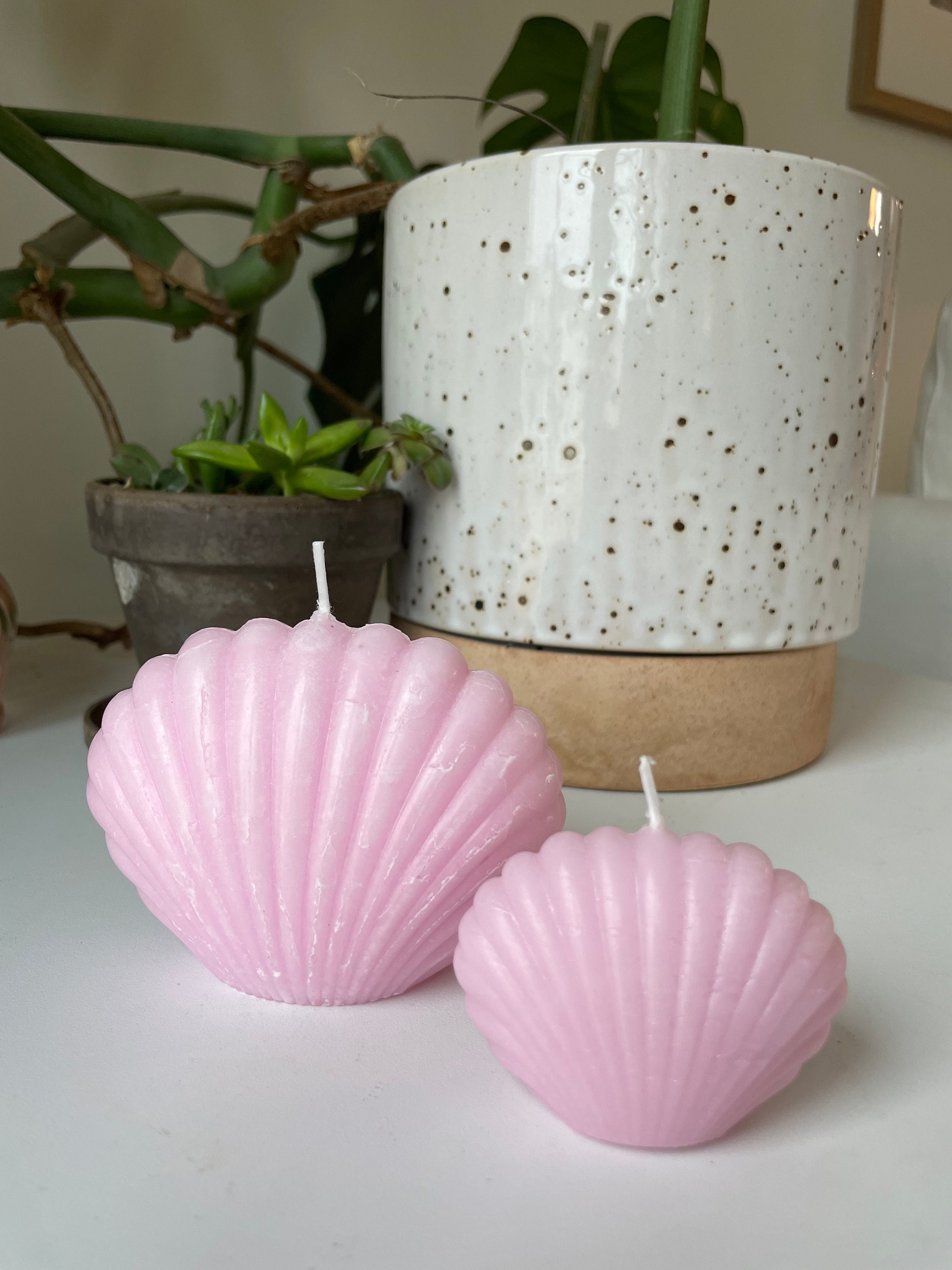 Seashell Candle Set Minimalist Home Decor Simple Gift Idea Soy Pillar ...