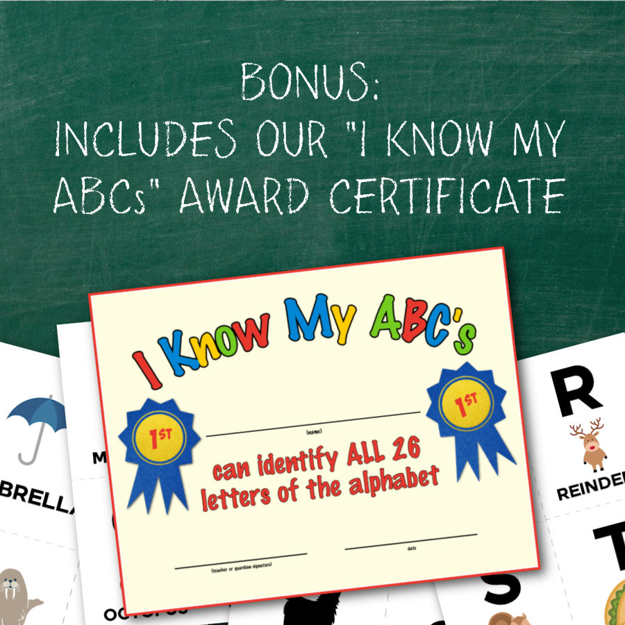 Alphabet Flashcards TWO SETS With Unlimited Prints for Early Learning ...