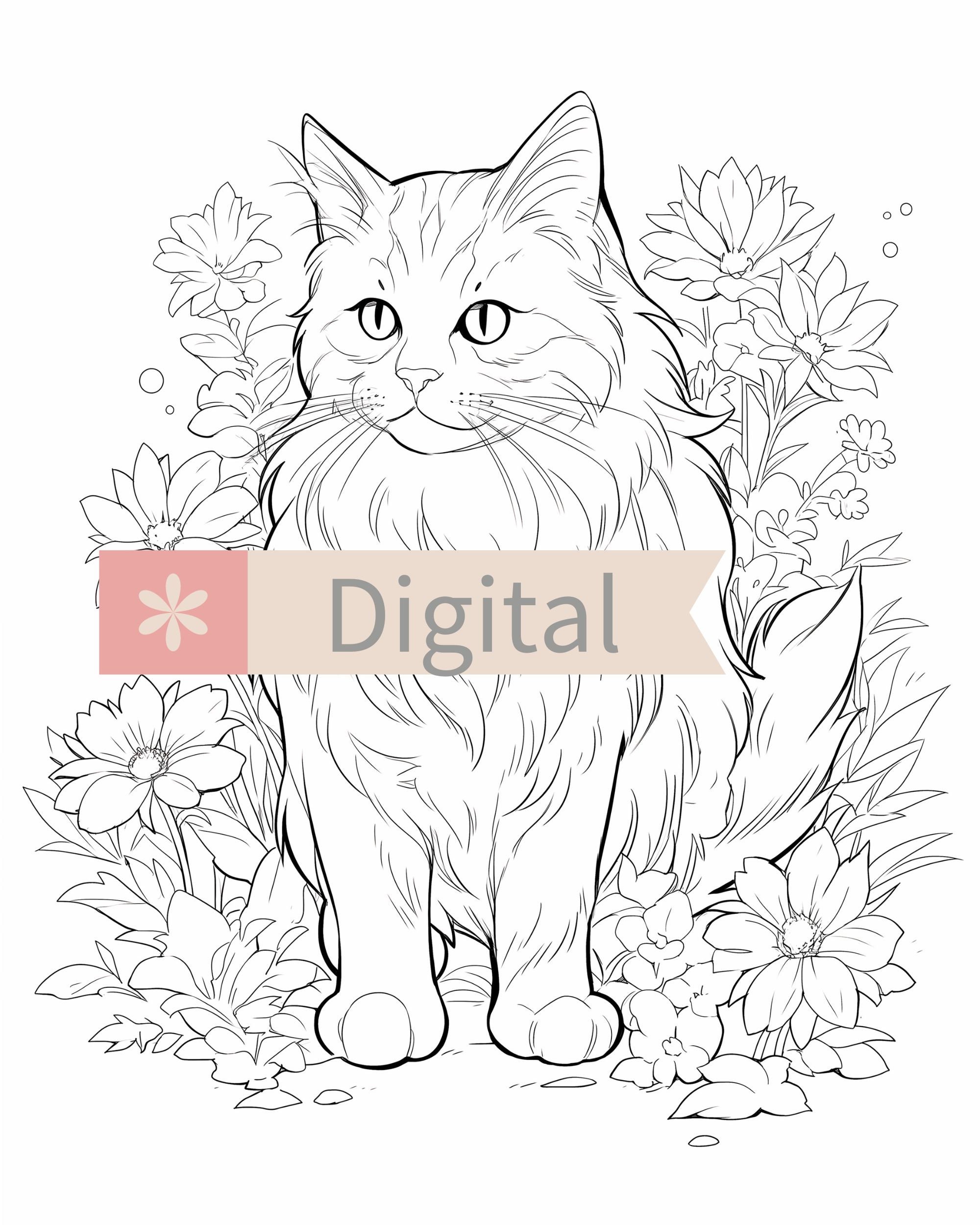 Cute Cat, 6 Coloring Pages, Kitten, Christmas, Flowers, Digital PDF JPG ...