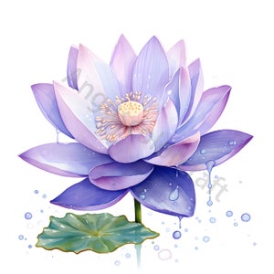 12 Watercolor Lotus Clipart, Water Lilies, Lotus Flower Art, Lotus ...