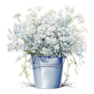 Babys Breath Flowers Clipart 20 High Quality Jpgs Digital Paper Craft ...