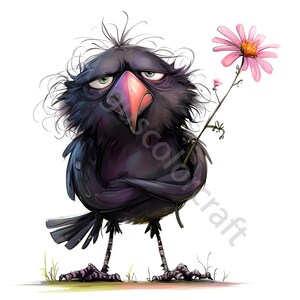 14 Crazy Raven Clip Art, Funny Bird Clipart, High Quality Jpgs, Digital ...