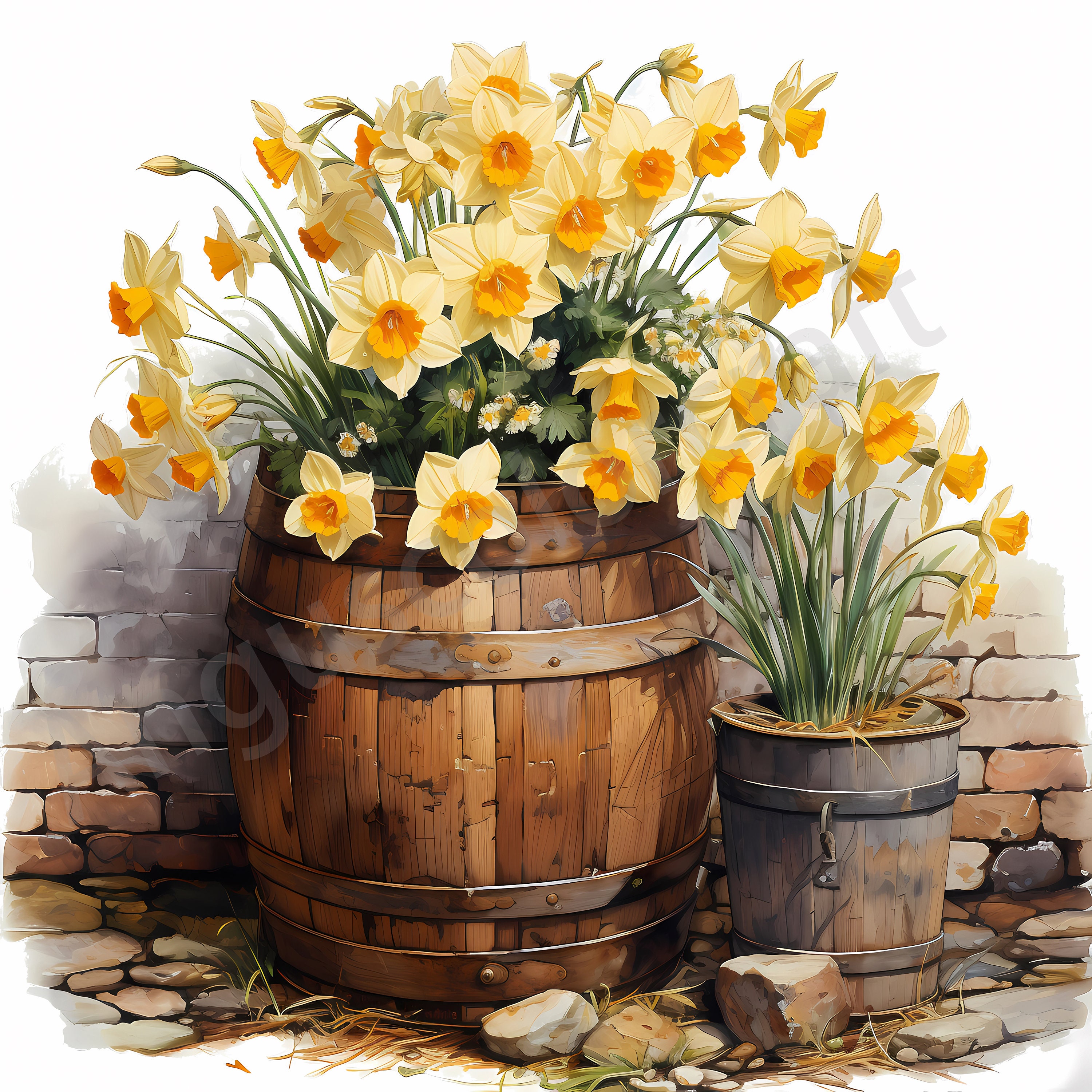 15 Daffodil Watercolor Clipart Bundle, Watercolor Floral Clipart ...