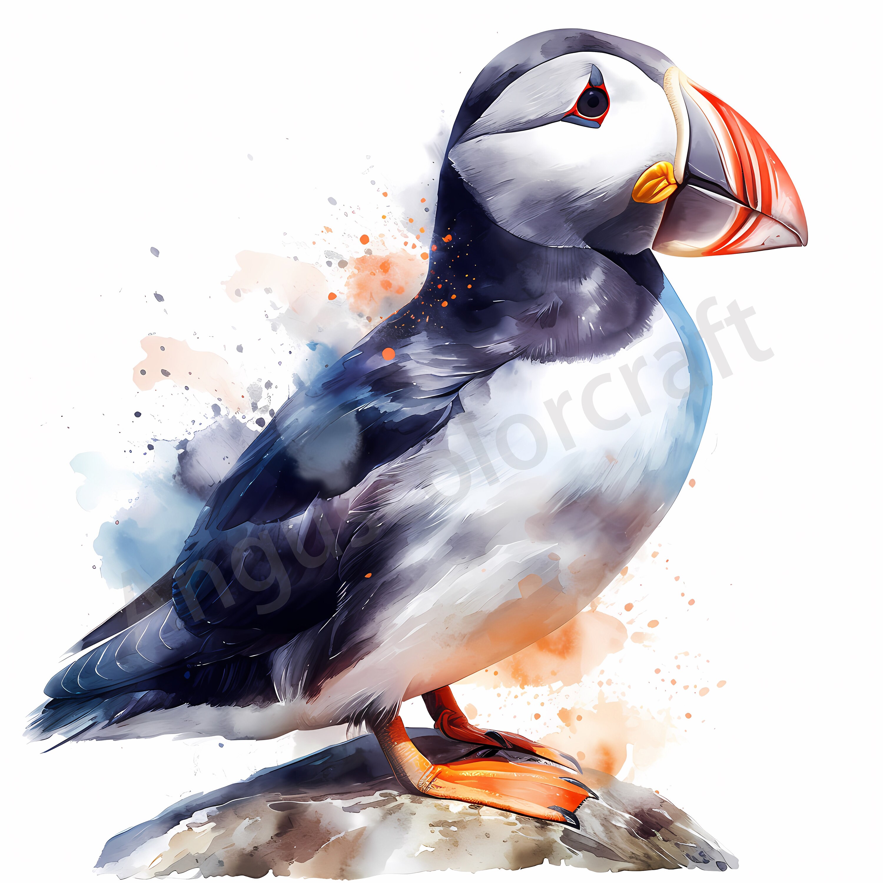 Watercolor Cute Puffin Clipart Adorable Cute Puffin Clipart Bundle 16 ...