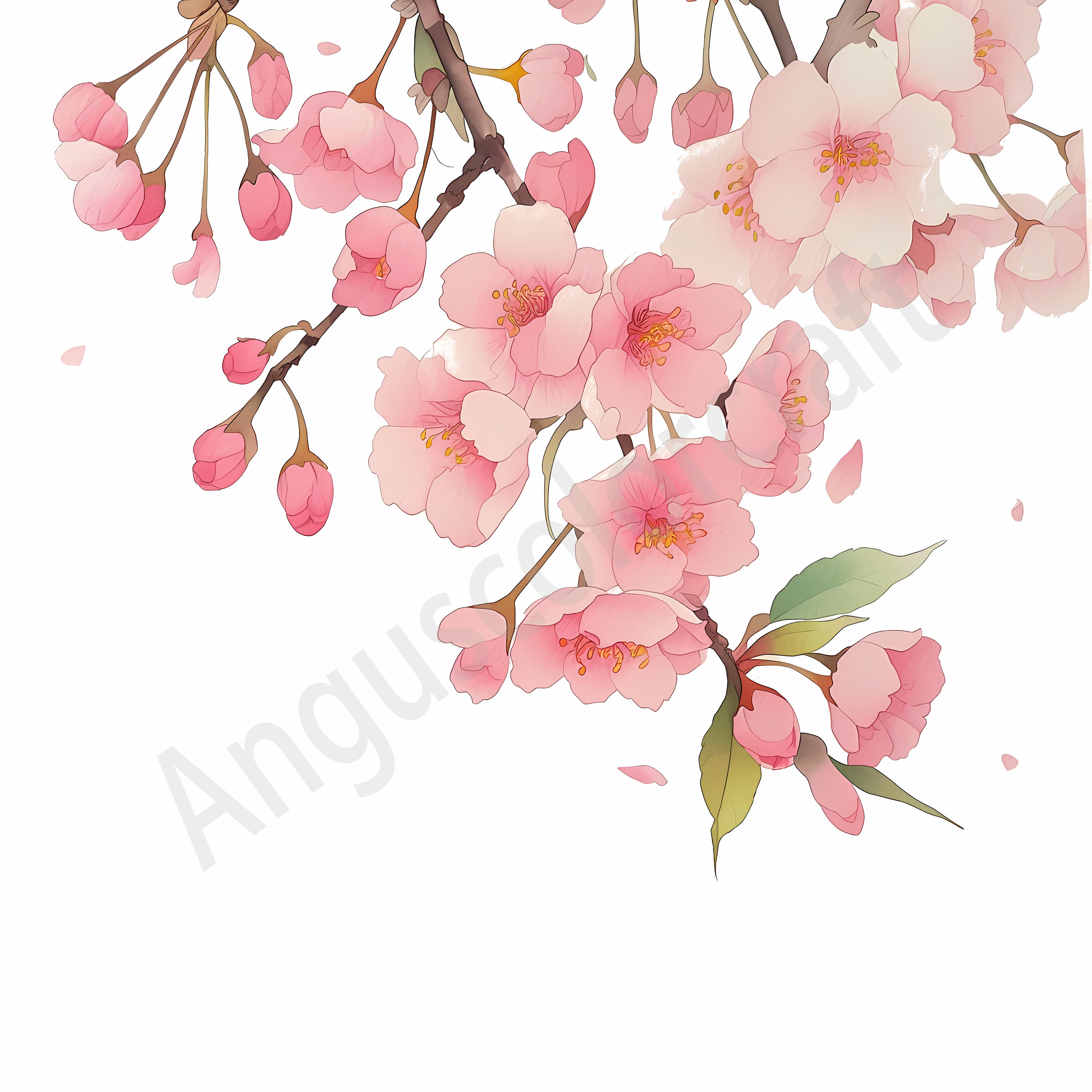 10 Watercolor Cherry Blossom Clipart, Cherry Flower, Sakura Clipart ...