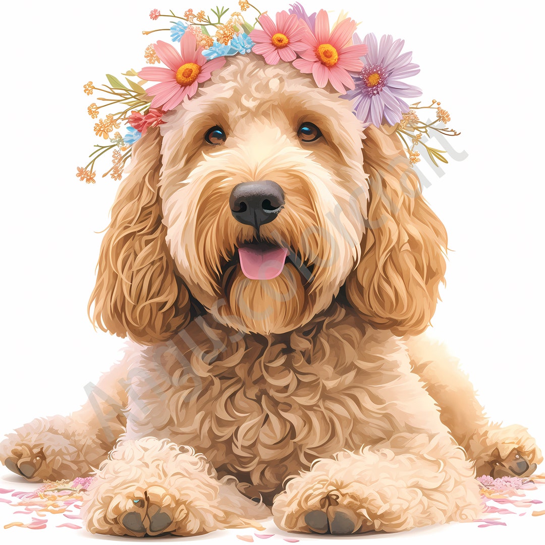 Spring Mini Golden Doodle Clipart - 13 High Quality Jpgs - Digital ...