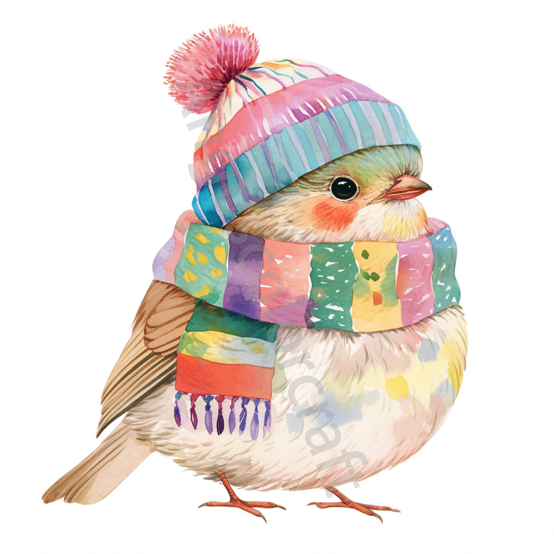15 Cute Whimsical Bird Clipart, Colorful Bird Clipart, High Res Jpgs ...