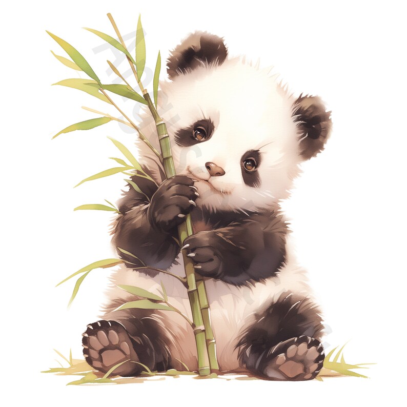 Cute Watercolor Panda Clipart, 18 High-quality Images, Adorable Panda ...