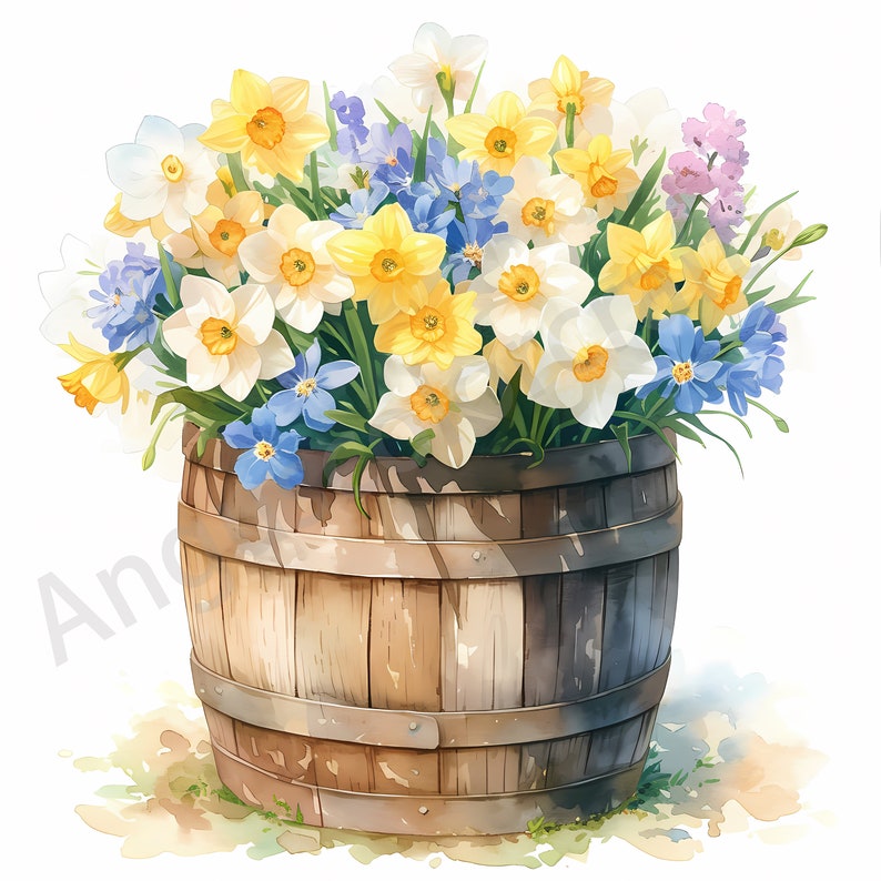 15 Daffodil Watercolor Clipart Bundle, Watercolor Floral Clipart ...
