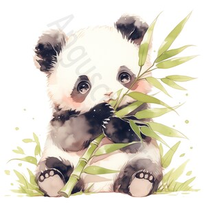Cute Watercolor Panda Clipart, 18 High-quality Images, Adorable Panda ...
