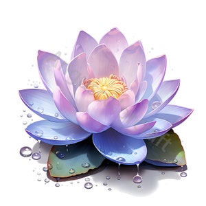 12 Watercolor Lotus Clipart, Water Lilies, Lotus Flower Art, Lotus ...