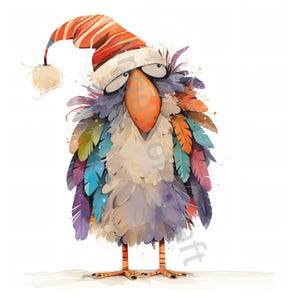 12 Whimsical Christmas Birds Clipart, Funny Birds, Digital Clipart ...