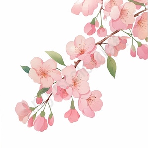 10 Watercolor Cherry Blossom Clipart, Cherry Flower, Sakura Clipart ...