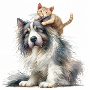 Quirky Dog and Cat Clip Art 10 High Res Watercolor Jpgs, Junk ...