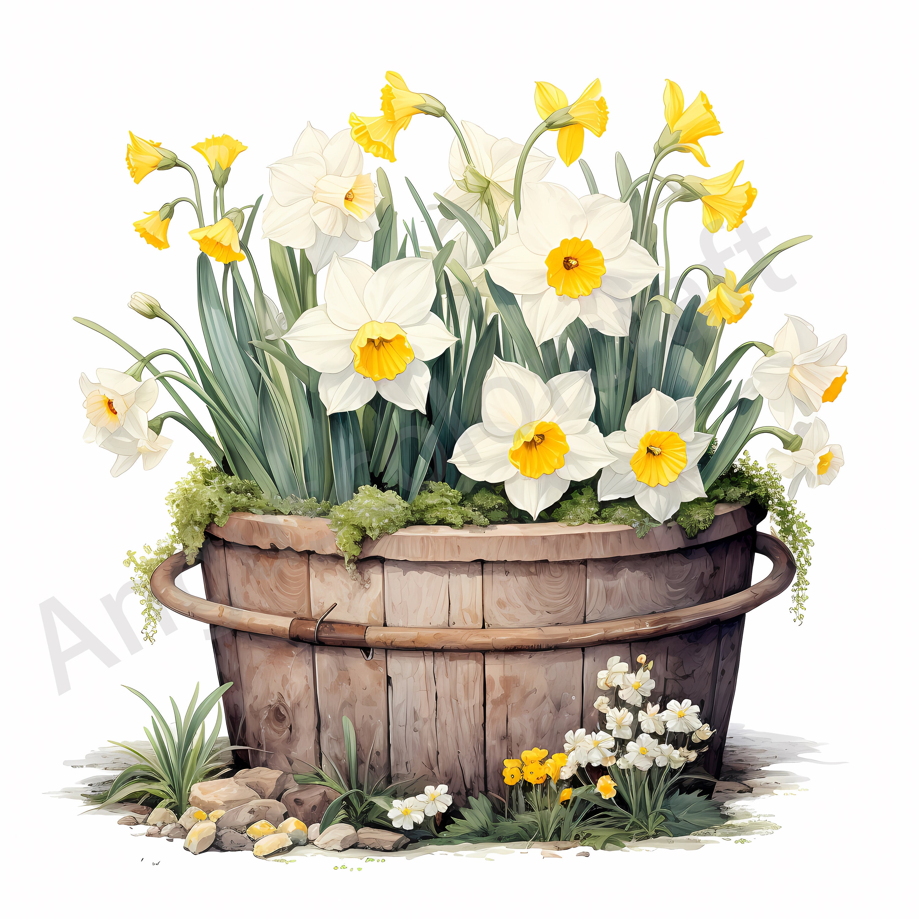 15 Daffodil Watercolor Clipart Bundle, Watercolor Floral Clipart ...