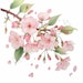 10 Watercolor Cherry Blossom Clipart, Cherry Flower, Sakura Clipart ...
