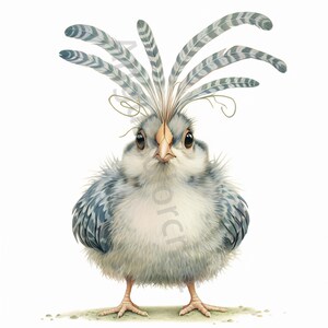 14 Quirky Quail Clipart, Commercial Use, Jpgs, Whimsical Ephemera ...