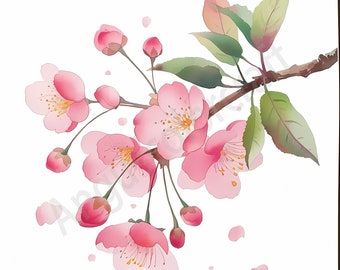 10 Watercolor Cherry Blossom Clipart, Cherry Blossom Flower, Pink ...
