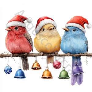 10 JPG Christmas Birds Clipart, Commercial Use, Whimsical Ephemera ...