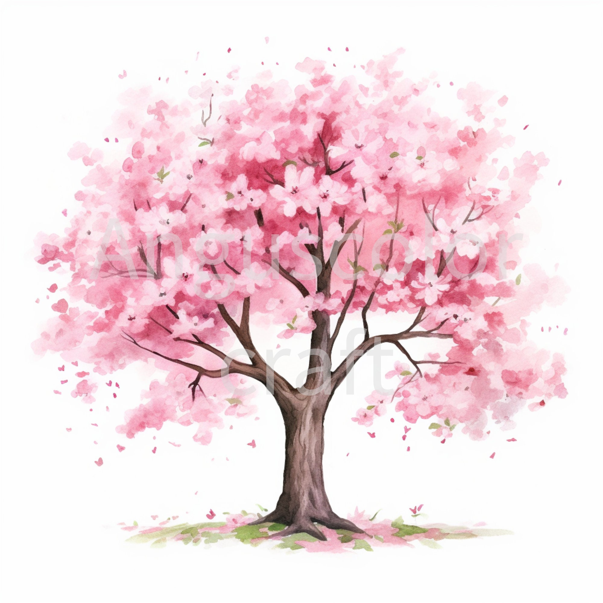 Watercolor Cherry Blossom Tree Clipart, Sakura, 15 High Quality Jpgs ...