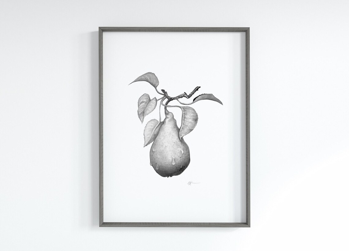 Botanical Pear Drawing Print (digital Fruit Artwork) - Etsy
