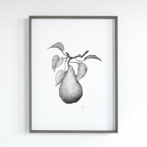 Botanical Pear Drawing Print (digital Fruit Artwork) - Etsy