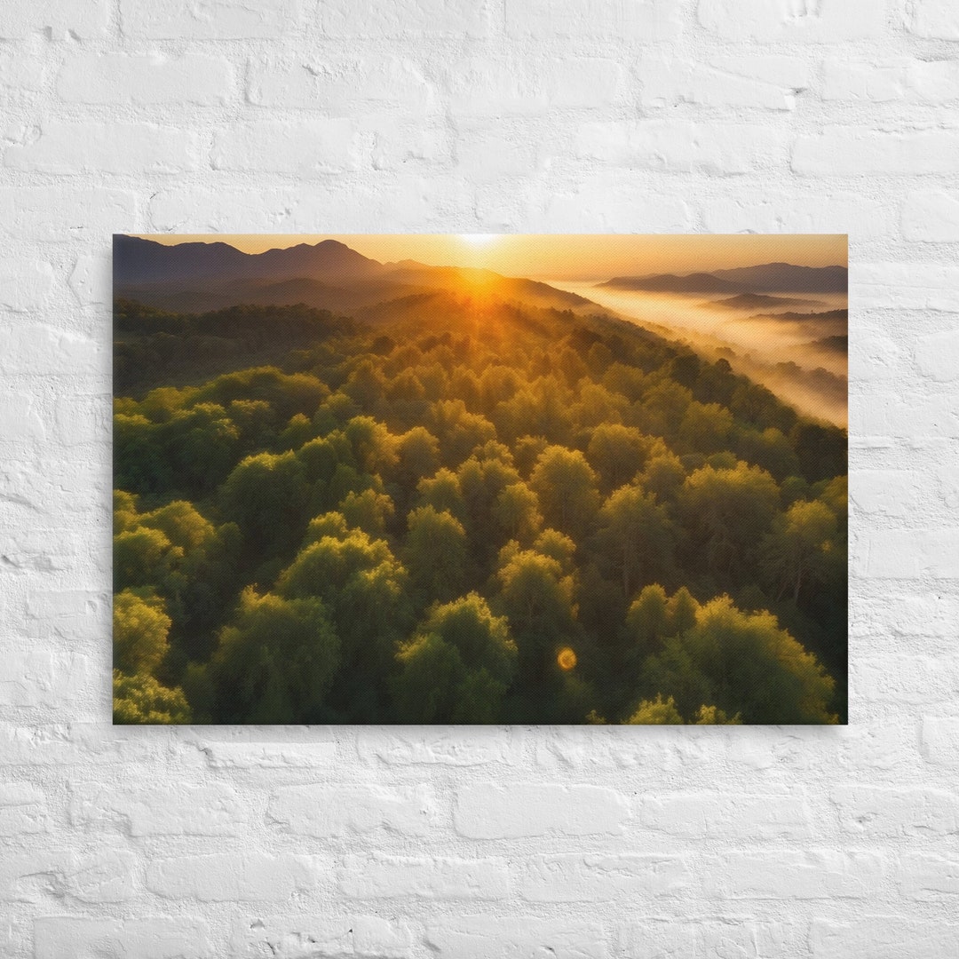 Forest Canopy Vista: High-angle Canvas Art Nature's Majesty in Your ...
