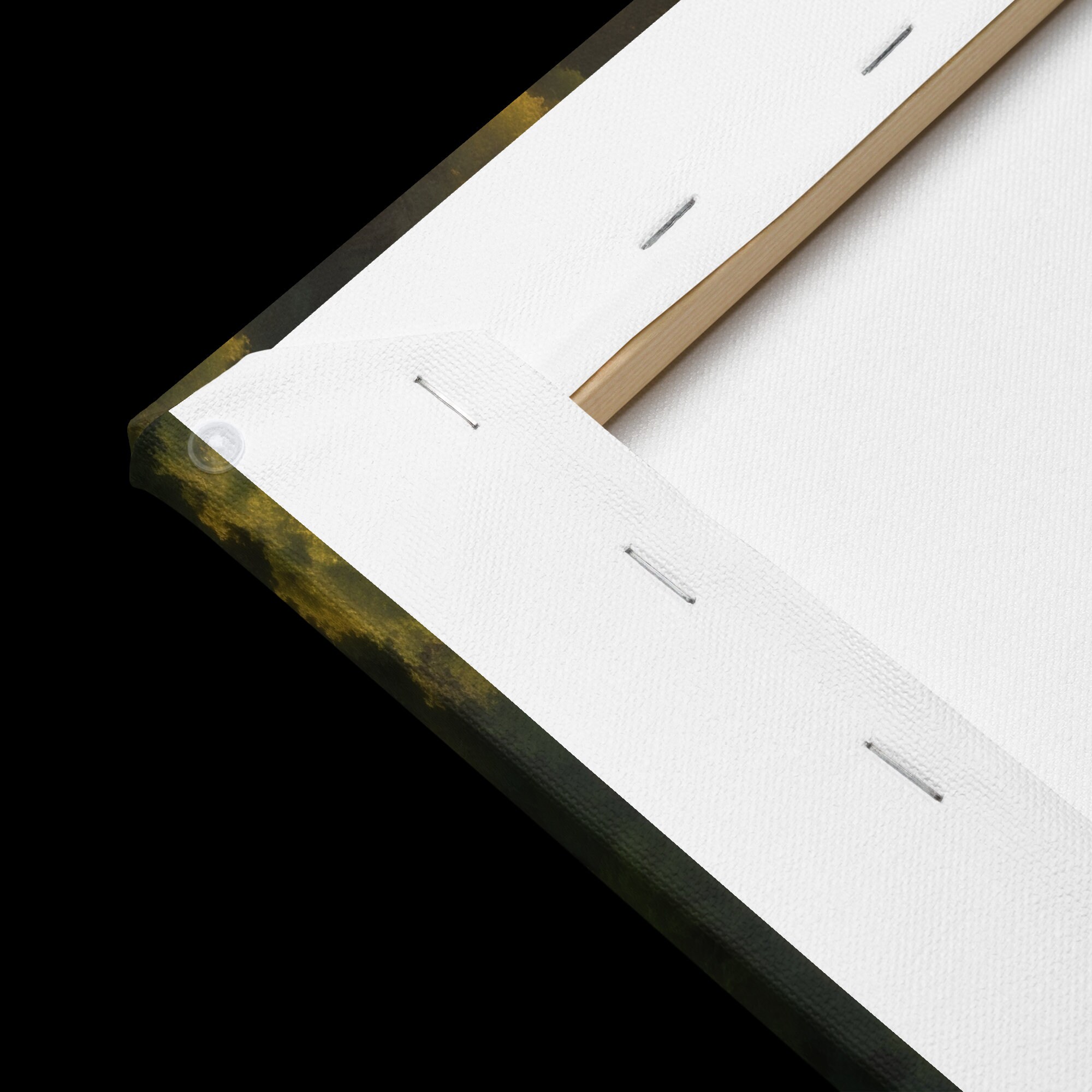 Forest Canopy Vista: High-angle Canvas Art Nature's Majesty in Your ...